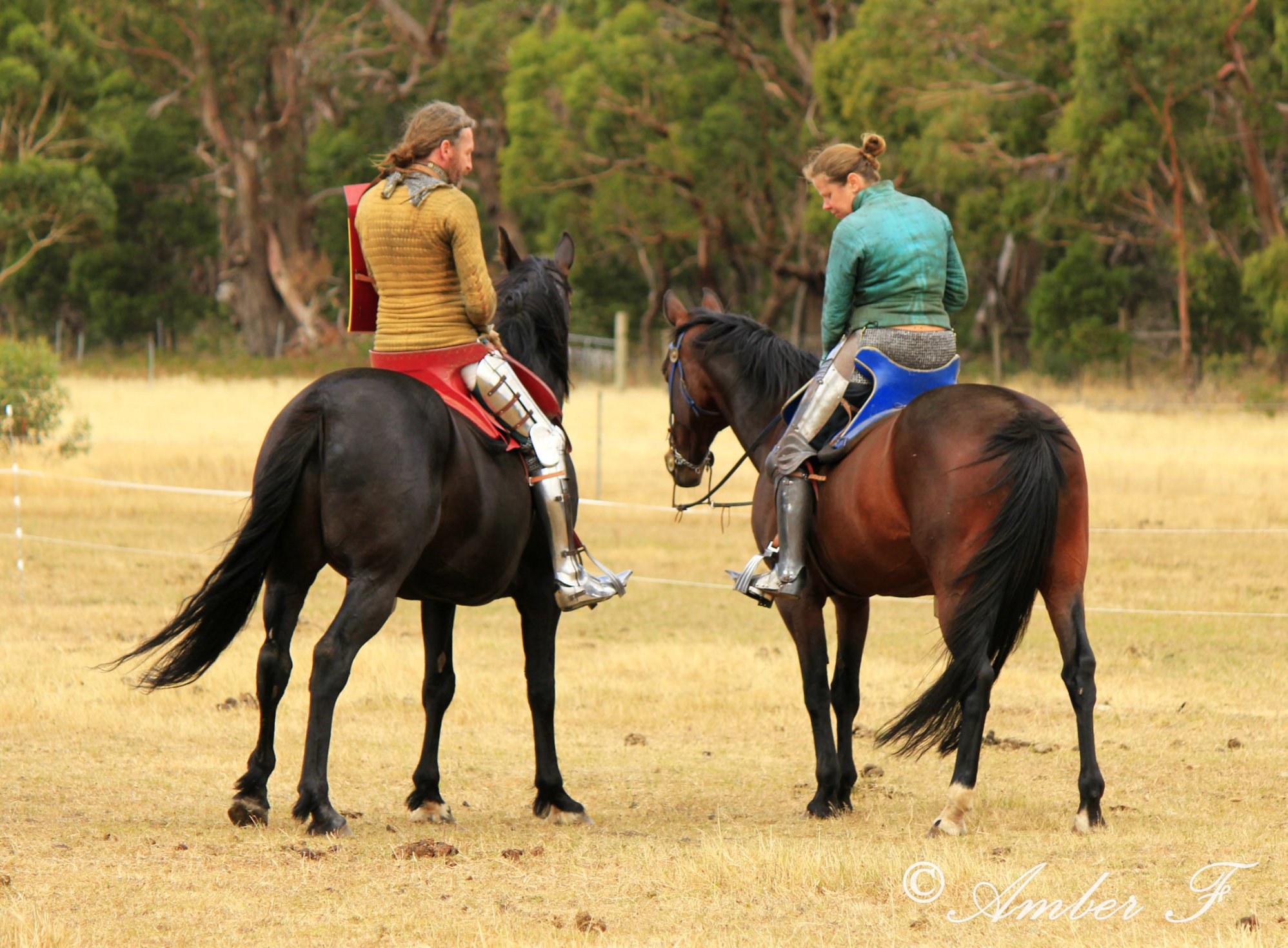 Training Session – The King's Horses Equestrian Society Inc.