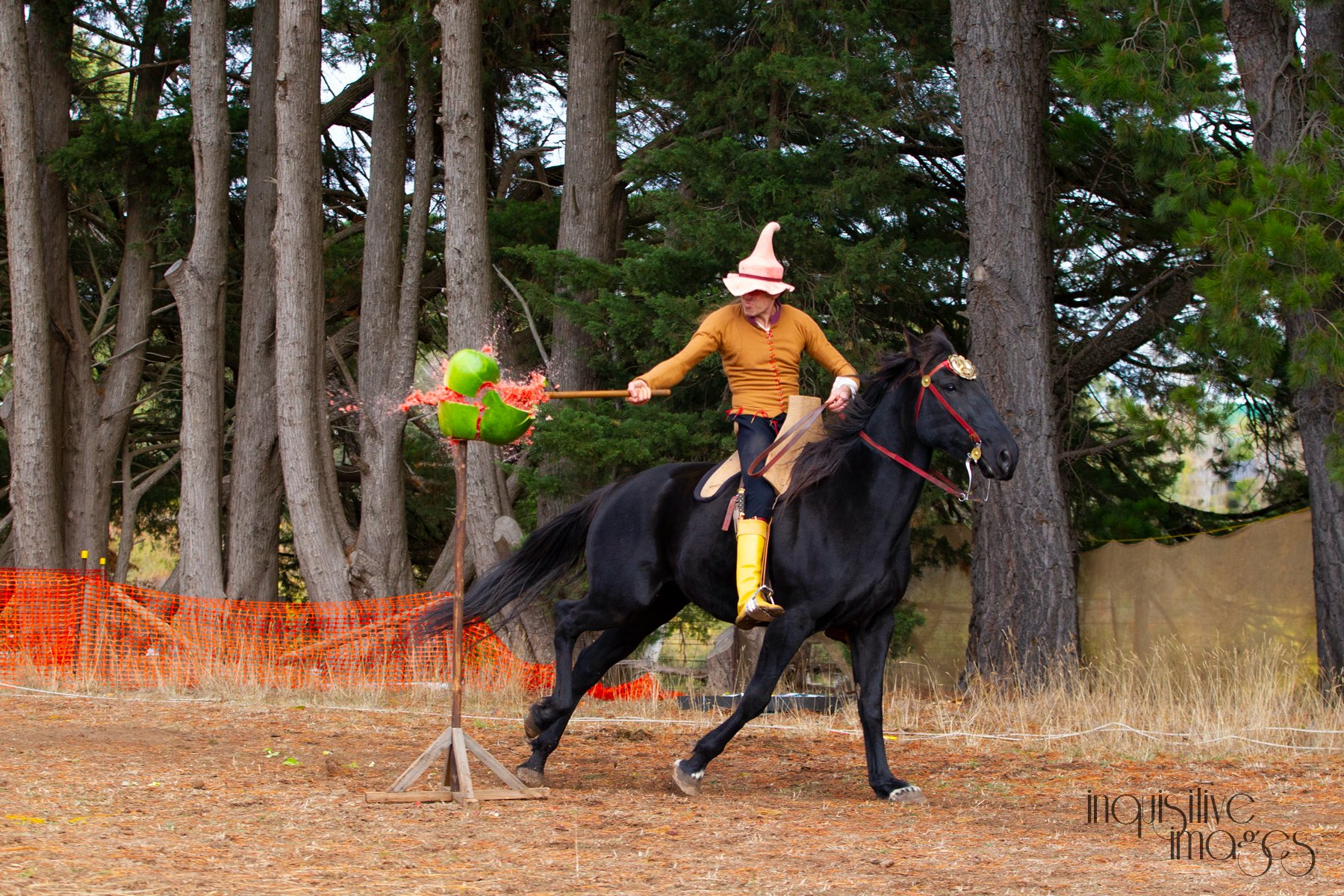 SA Medieval Fair 2022 – The King's Horses Equestrian Society Inc.